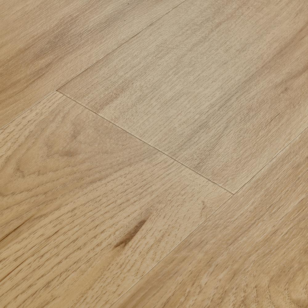 Fossil Preservation Color Luxury Vinyl Flooring - KLC Floors & More